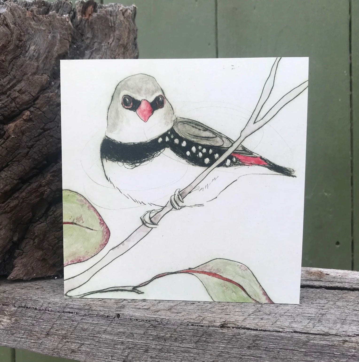Bridget Farmer - Diamond Firetail Bush Birds Card – Willunga Gallery