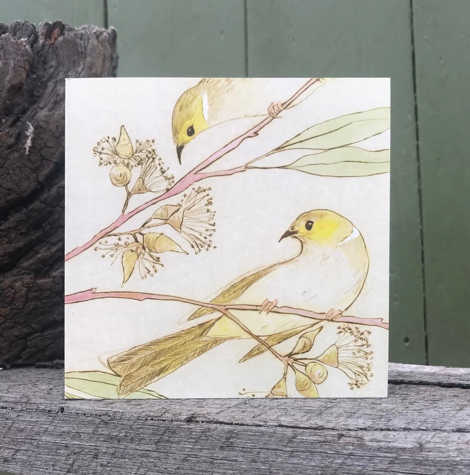 Bridget Farmer - White Plumed Honeyeater Bush Birds Card – Willunga Gallery