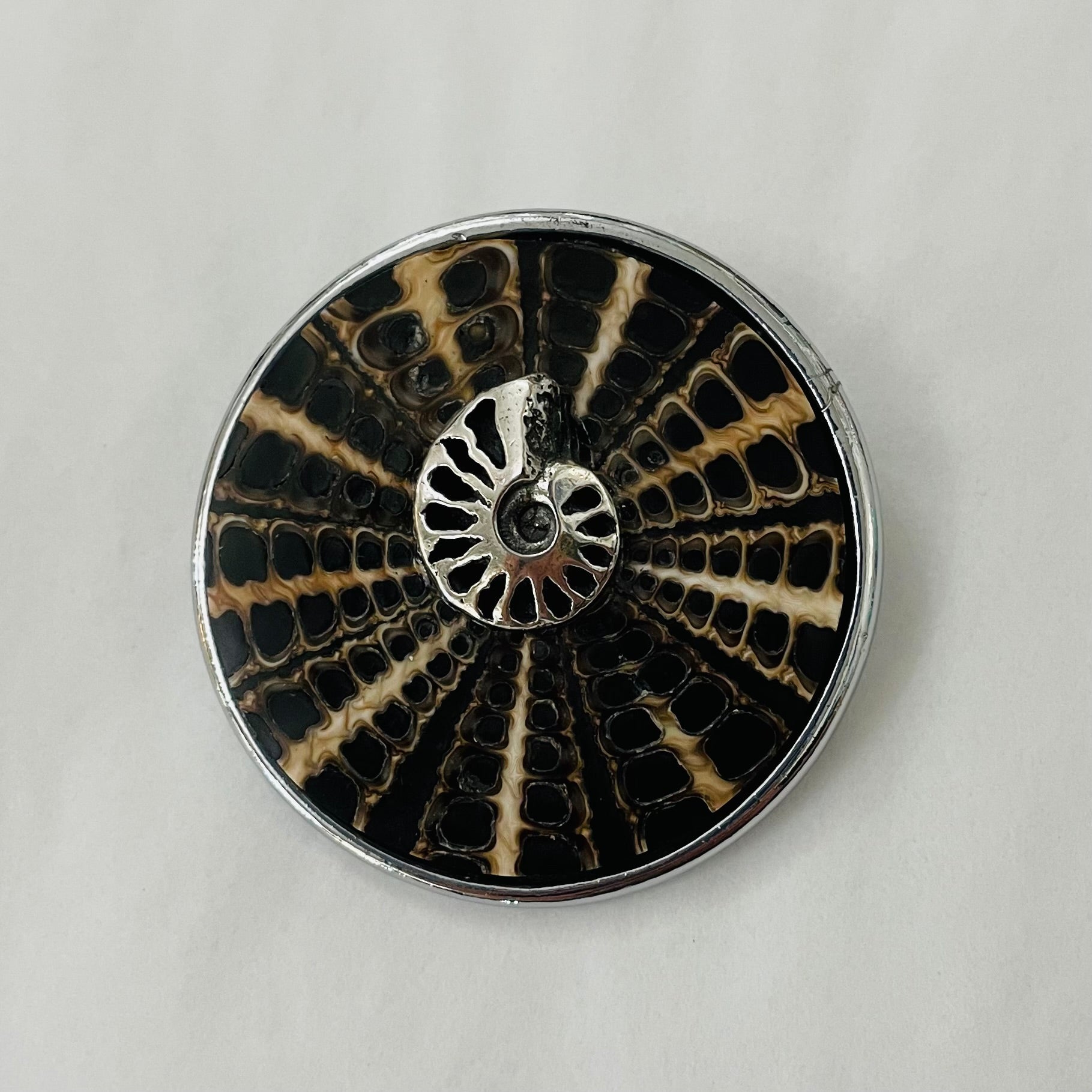 Calypso Flash Brooch - Auger Spiral Shell – Willunga Gallery