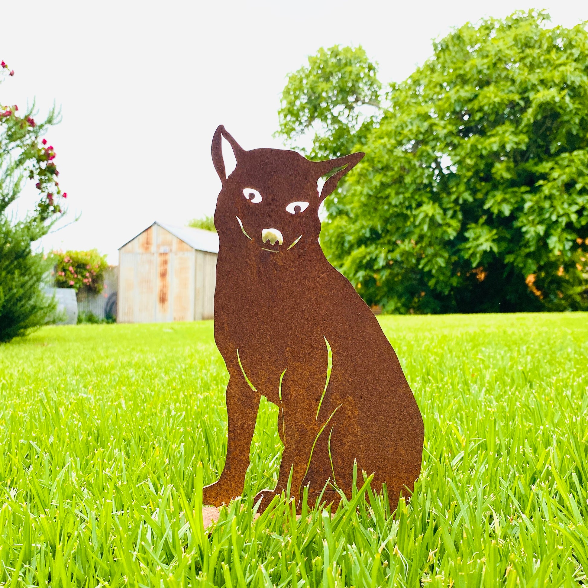 Overwrought Dingo Sitting Medium Stand – Willunga Gallery